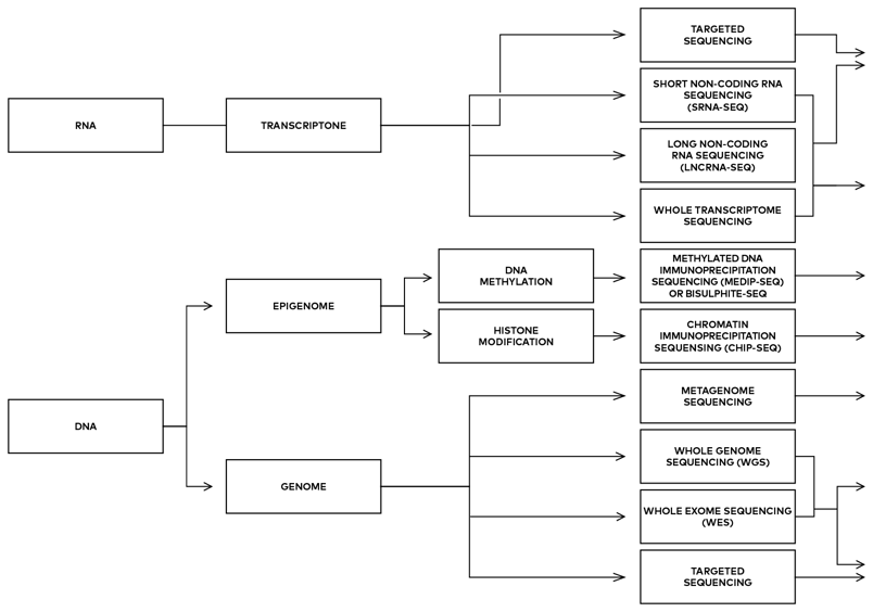 Explaining DNA vs. RNA sequencing