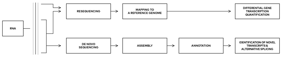Explaining DNA vs. RNA sequencing