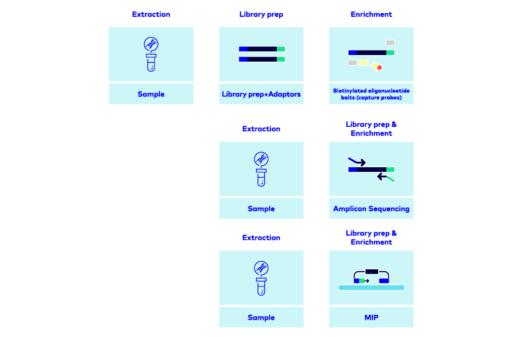 Explaining DNA vs. RNA sequencing