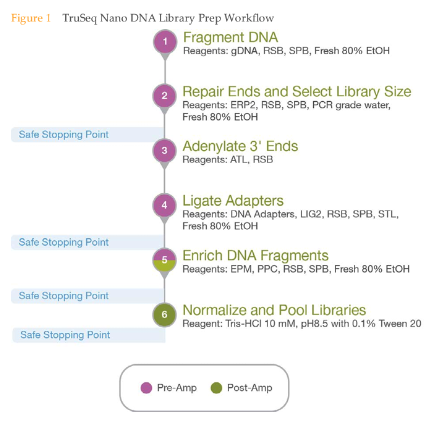 Library Prep with the I.DOT Liquid Handler & Illumina TruSeq Nano DNA ...