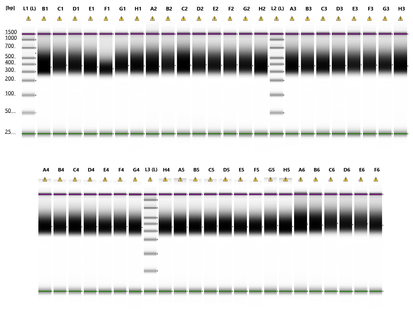 Sales Reps Get Hands-On with Automated & Miniaturized NGS Library Prep