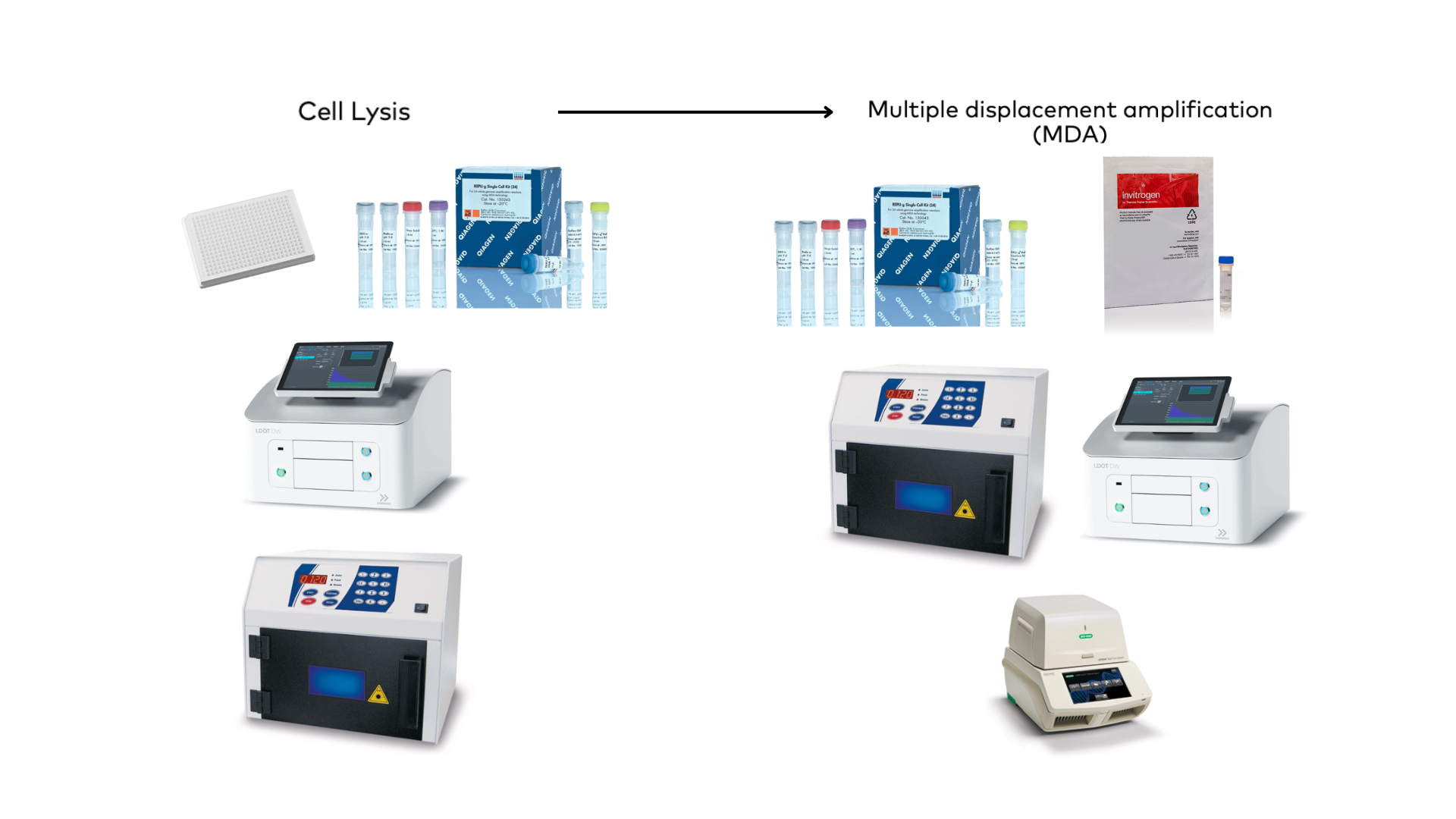 Unlocking the Secrets of Uncultured Microbes & the I.DOT (International ...